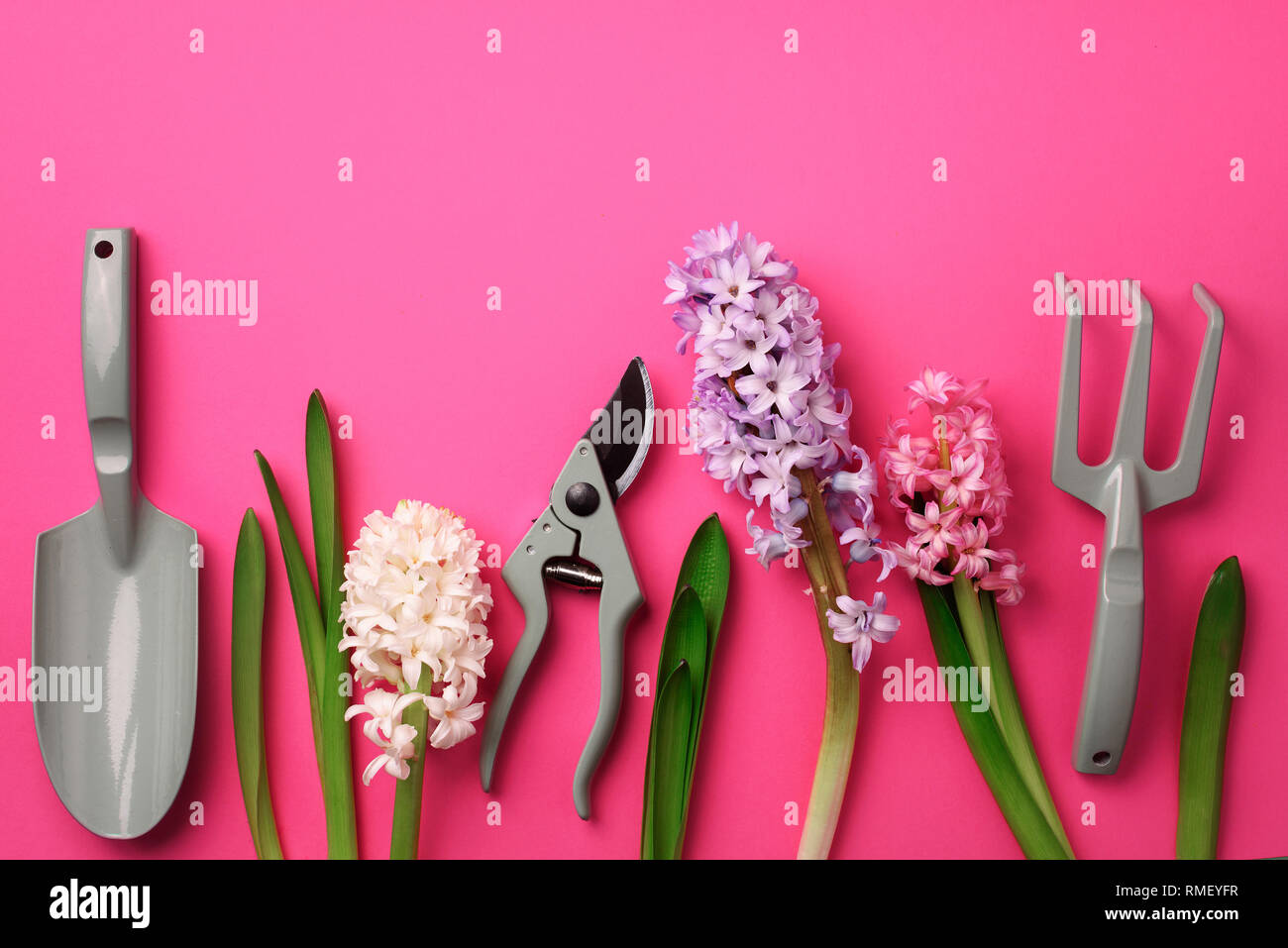 Garden pruner, rake, with flowers on pink punchy pastel background ...