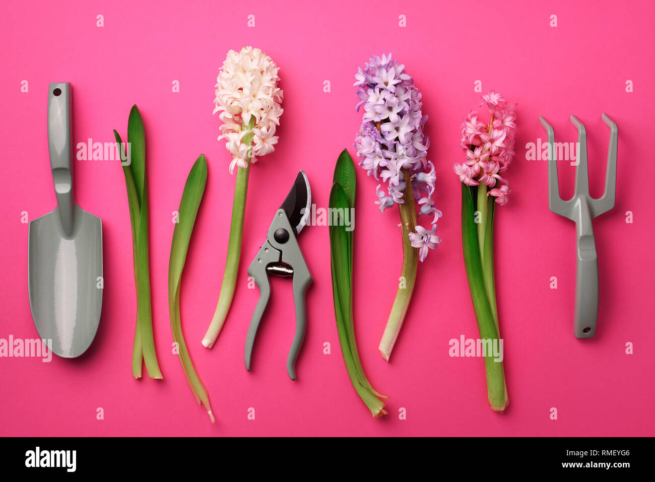 Garden pruner, rake, with flowers on pink punchy pastel background ...