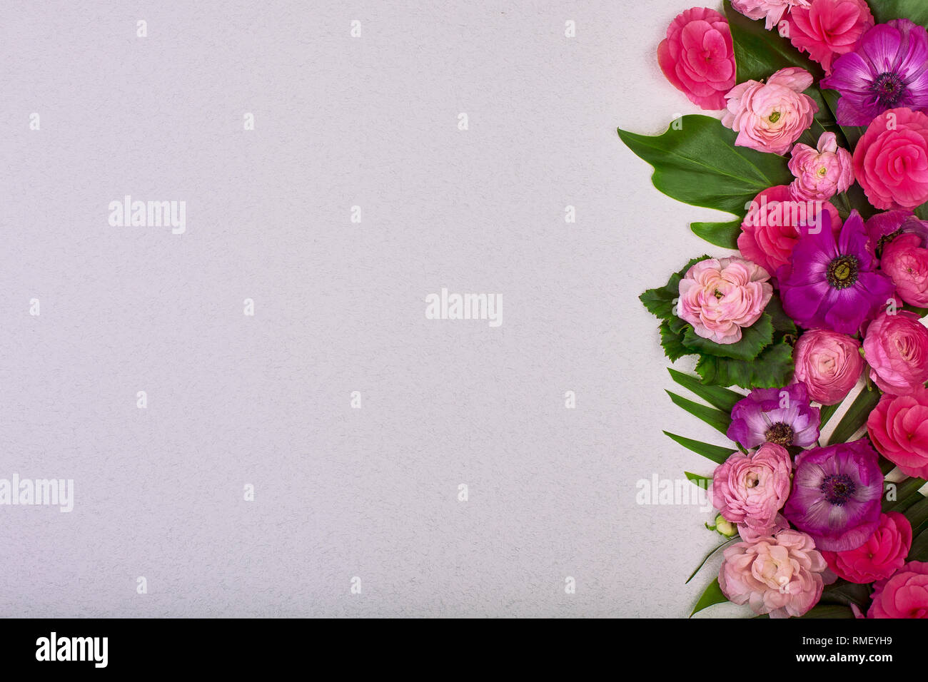 Gray And Pink Flower Background