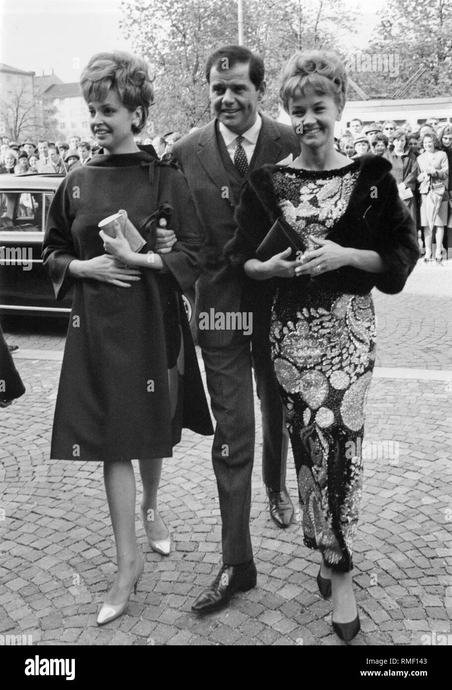 Giller Black and White Stock Photos & Images - Alamy