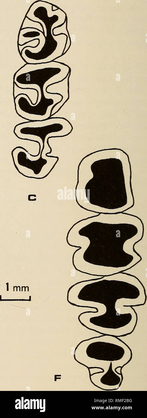 . Annals of the South African Museum = Annale van die Suid-Afrikaanse ...