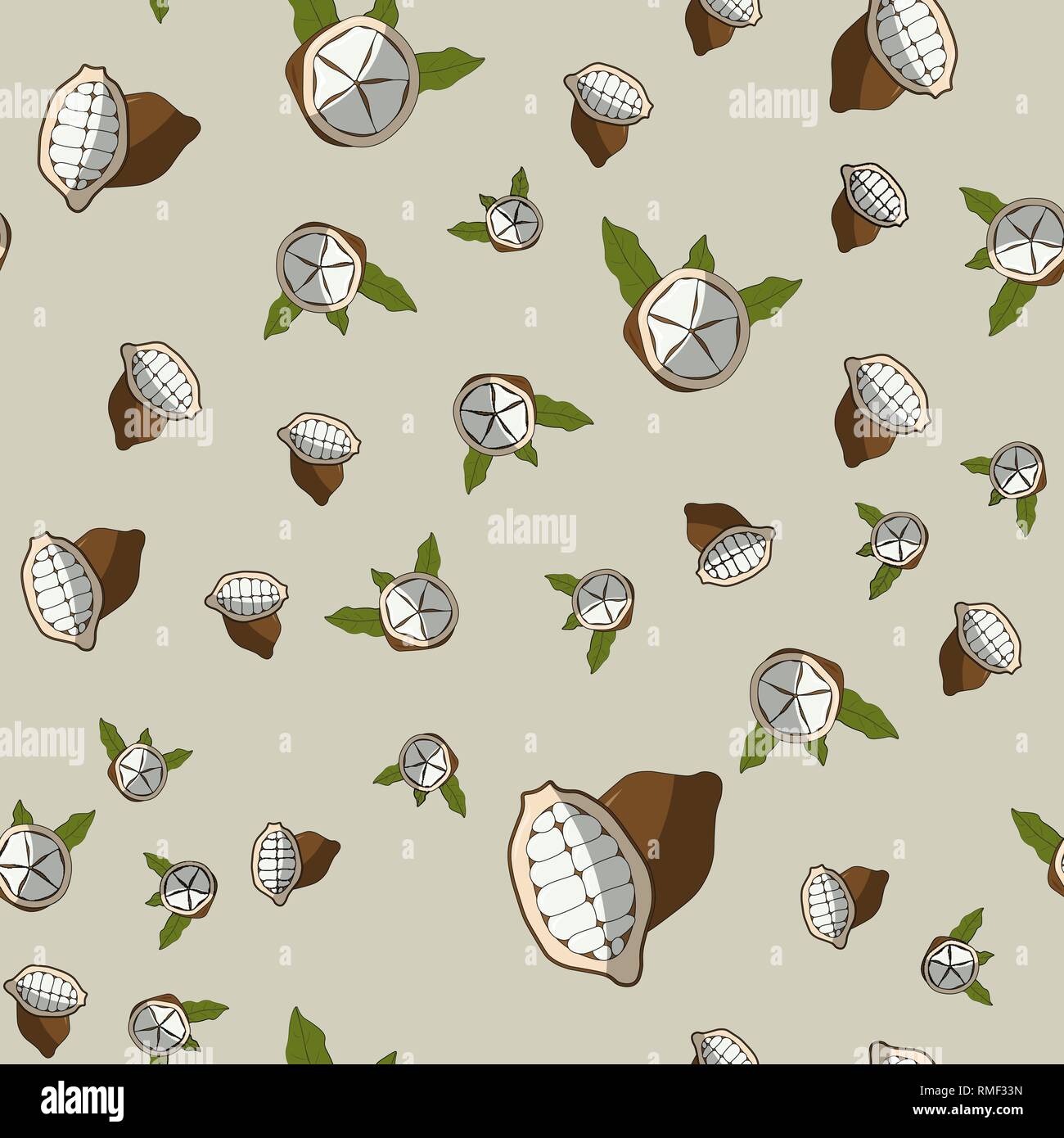 cacao vector print. Cupuacu exotic cupuassu, cupuazu and copoasu ...