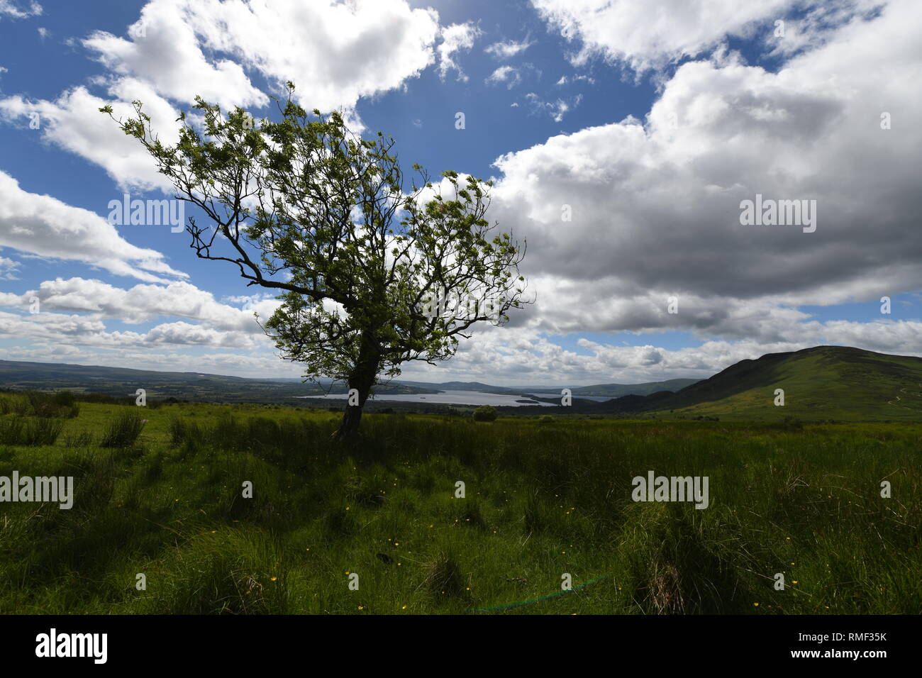 On the footpath from Balmaha to Conic Hill. Loch Lomond, Scotland UK ...