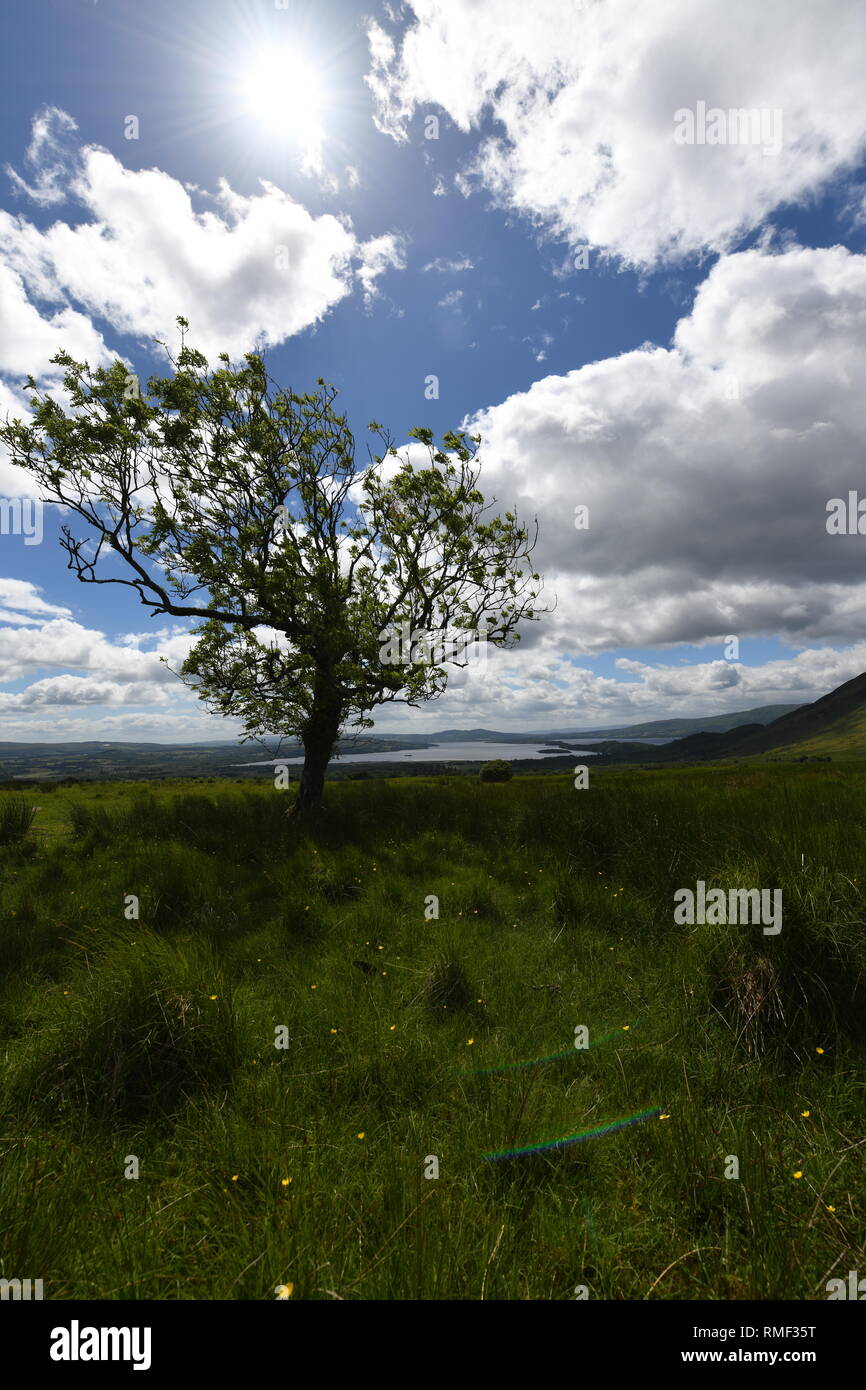 On the footpath from Balmaha to Conic Hill. Loch Lomond, Scotland UK ...
