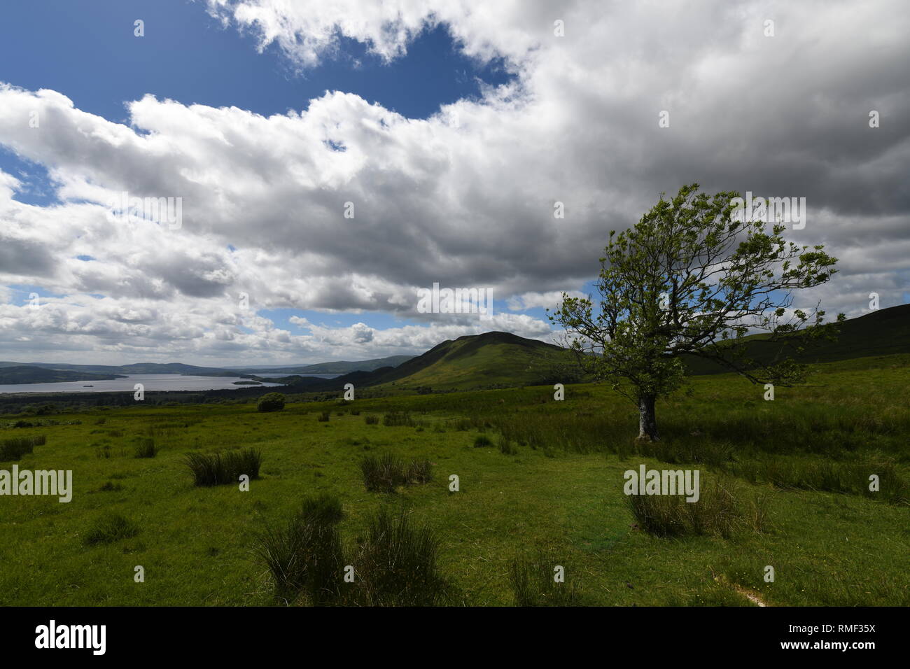 On the footpath from Balmaha to Conic Hill. Loch Lomond, Scotland UK ...