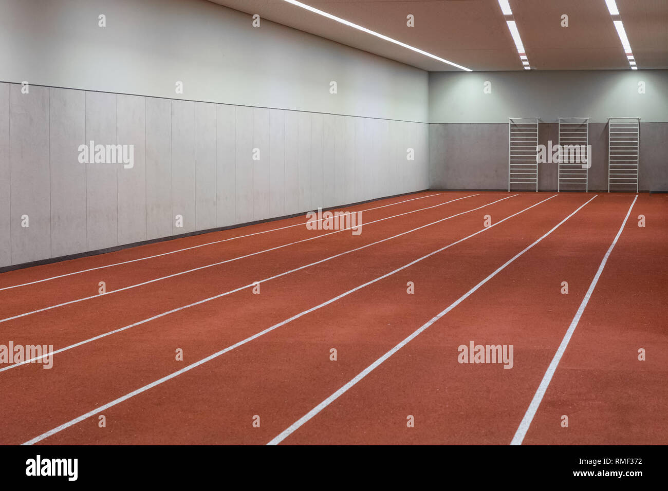 Training track for athletes Stock Photo - Alamy