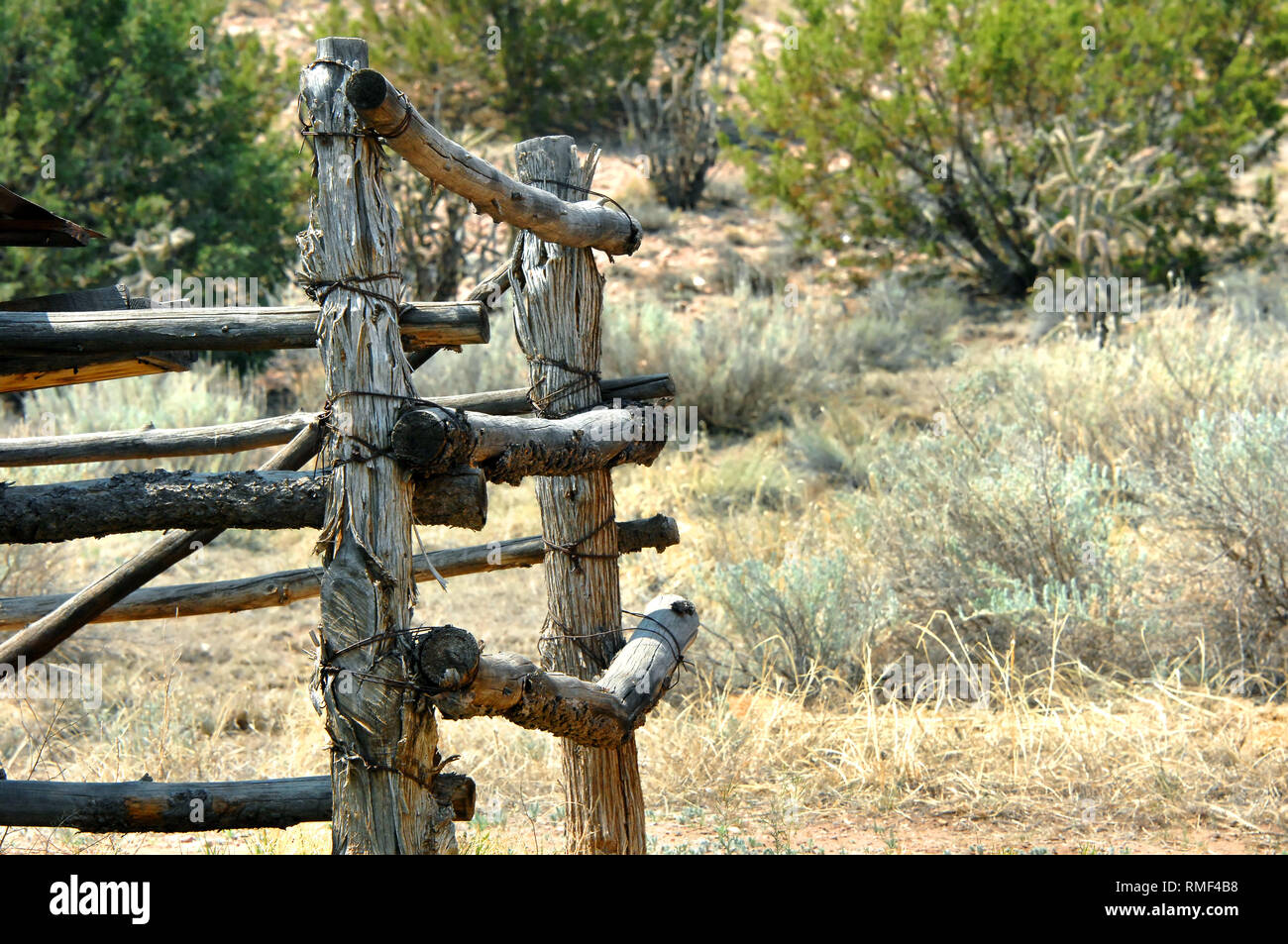 Cedar fence posts hi-res stock photography and images - Alamy