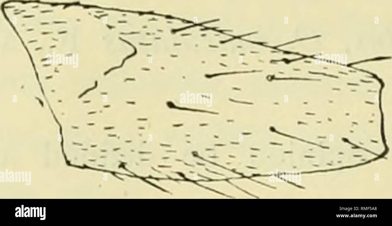 . Annotationes zoologicae japonenses / Nihon do?butsugaku iho?. 512 ...