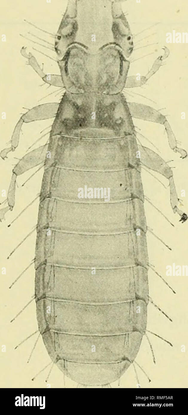 . Annotationes zoologicae japonenses / Nihon do?butsugaku iho?. BIRD ...