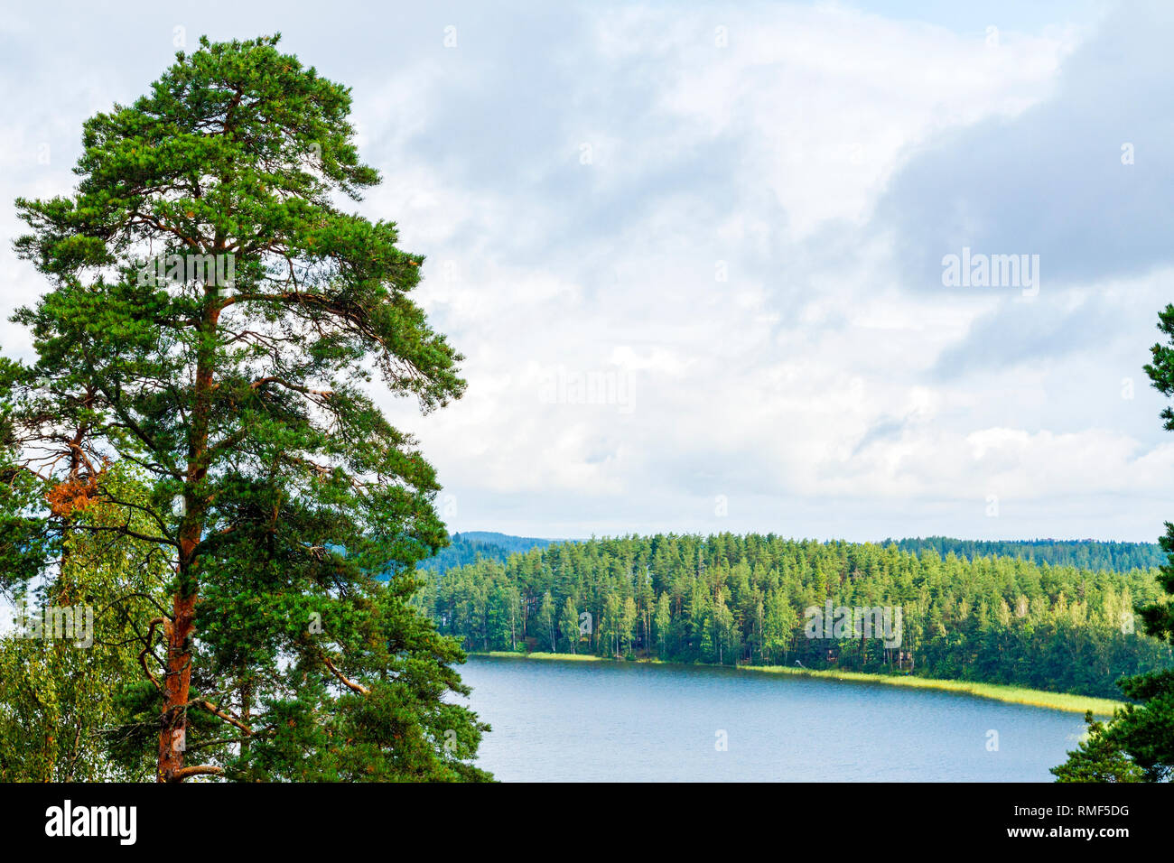 view from a high point of the forest and lake Stock Photo - Alamy