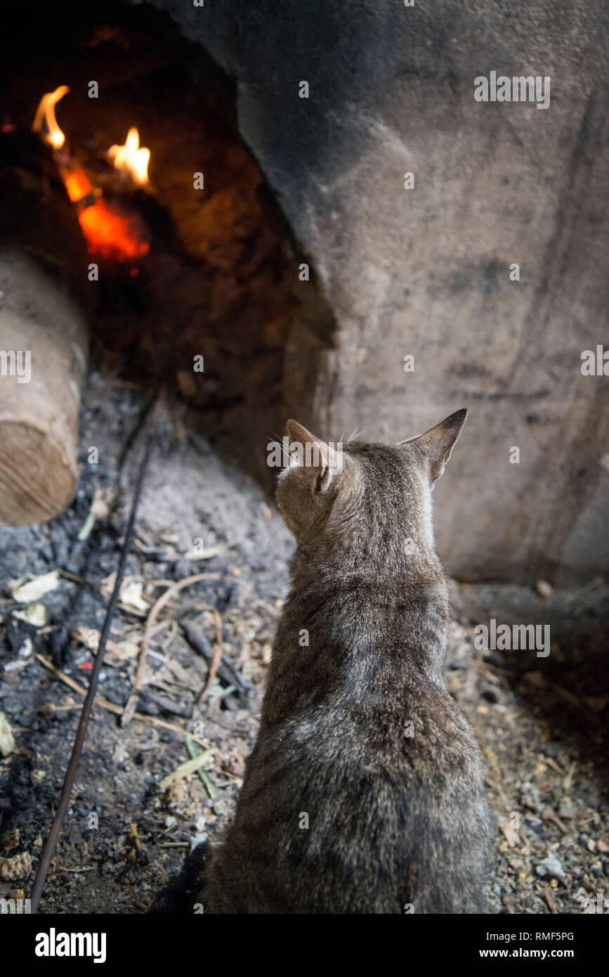 Cat log fire hi-res stock photography and images - Alamy
