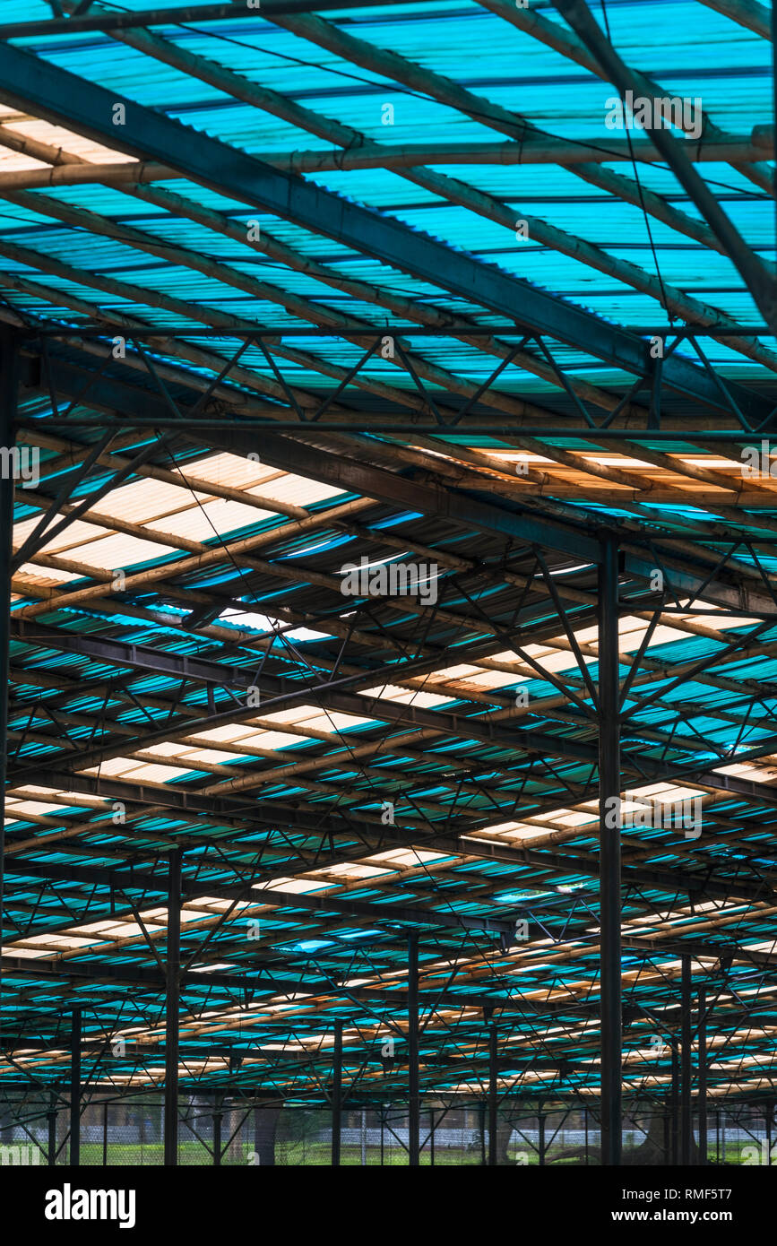 Temporary structure - Roof of plastic sheets Stock Photo - Alamy