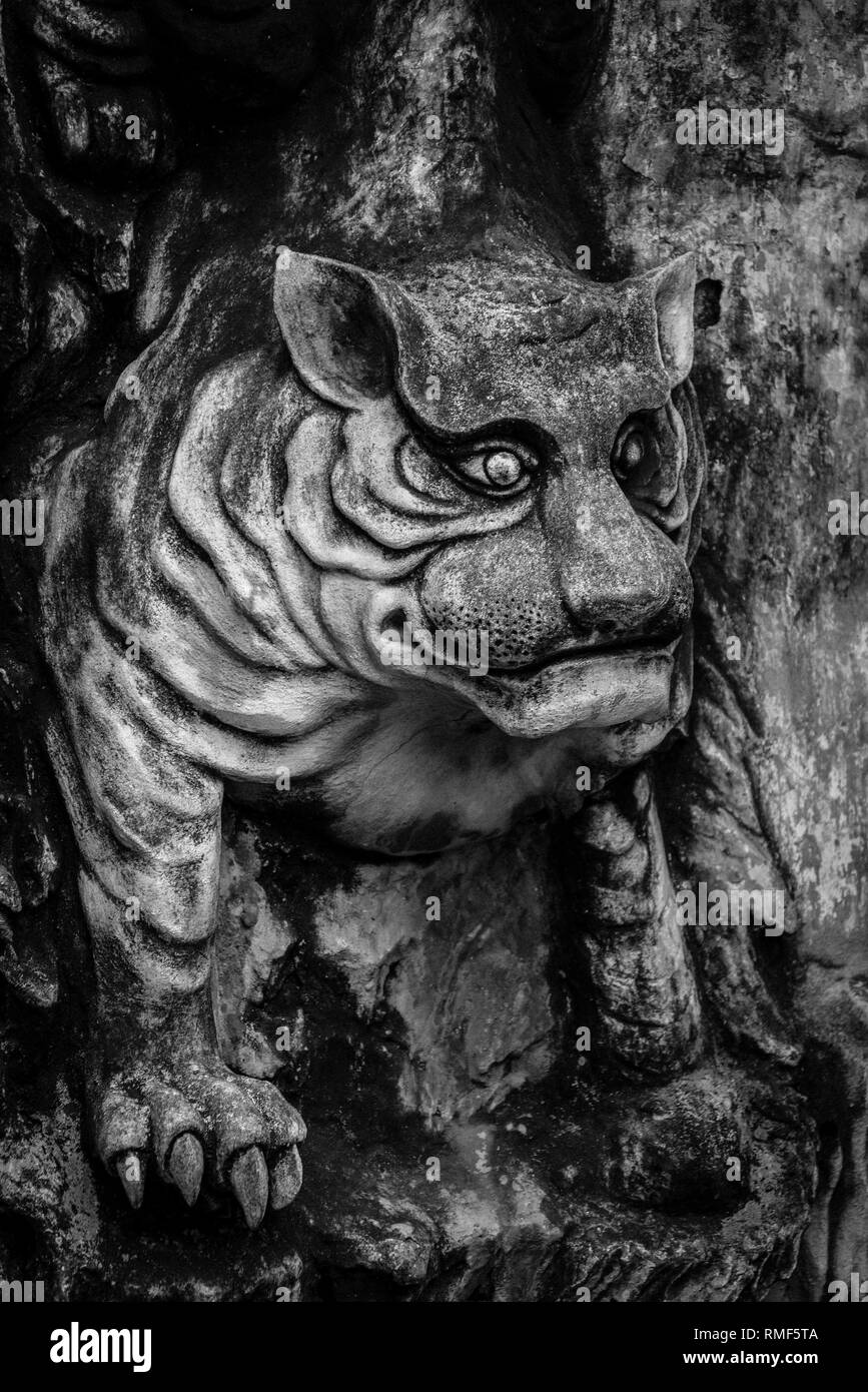 Tiger temple vietnam Black and White Stock Photos & Images - Alamy
