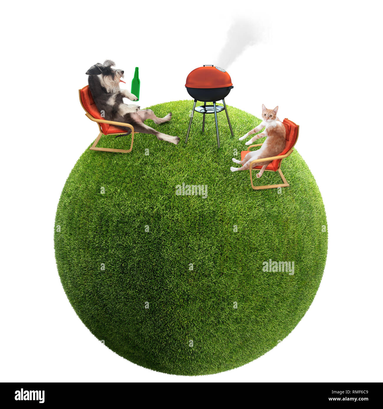 funny cat and dog having bbq and picnic on grass ball Stock Photo - Alamy