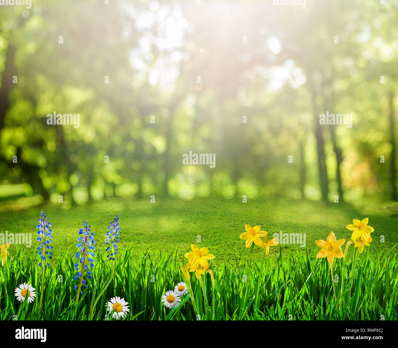 Spring Images Background
