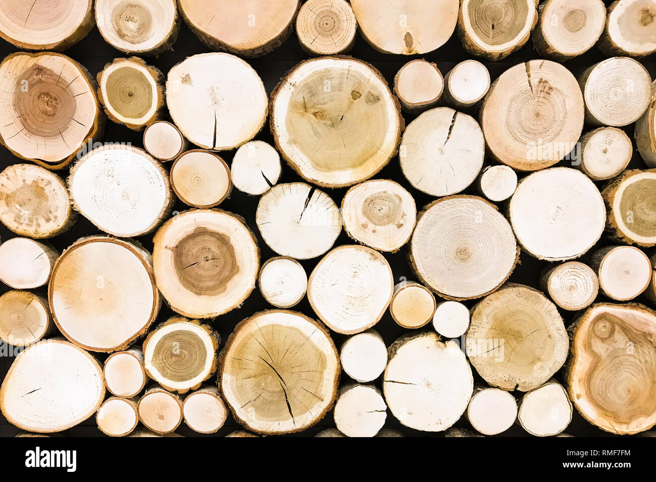round teak wood stump background. Trees cut section for background ...