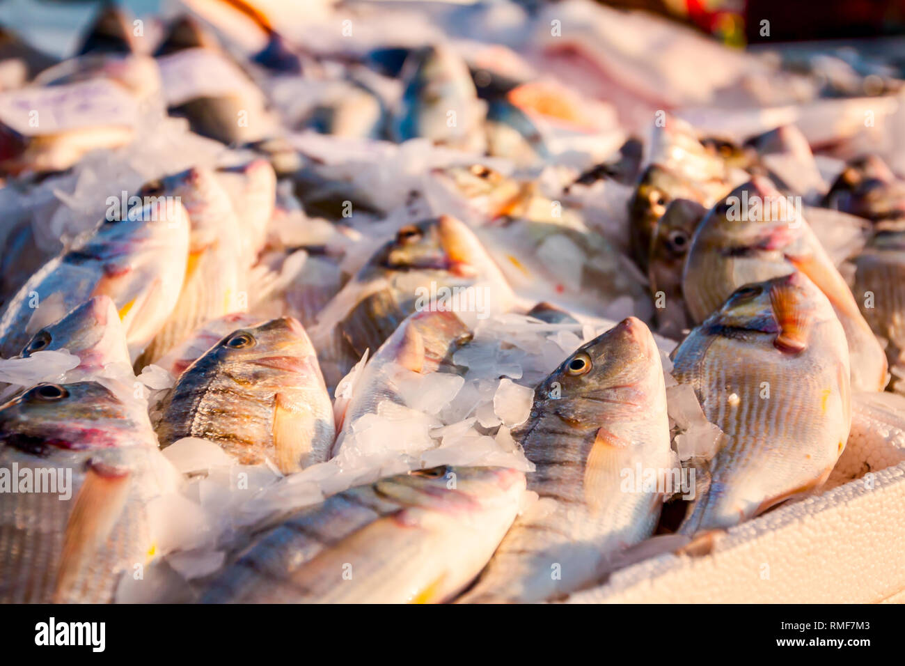 Pile of fresh fish for sale on the fishmonger, outdoor seafood market ...