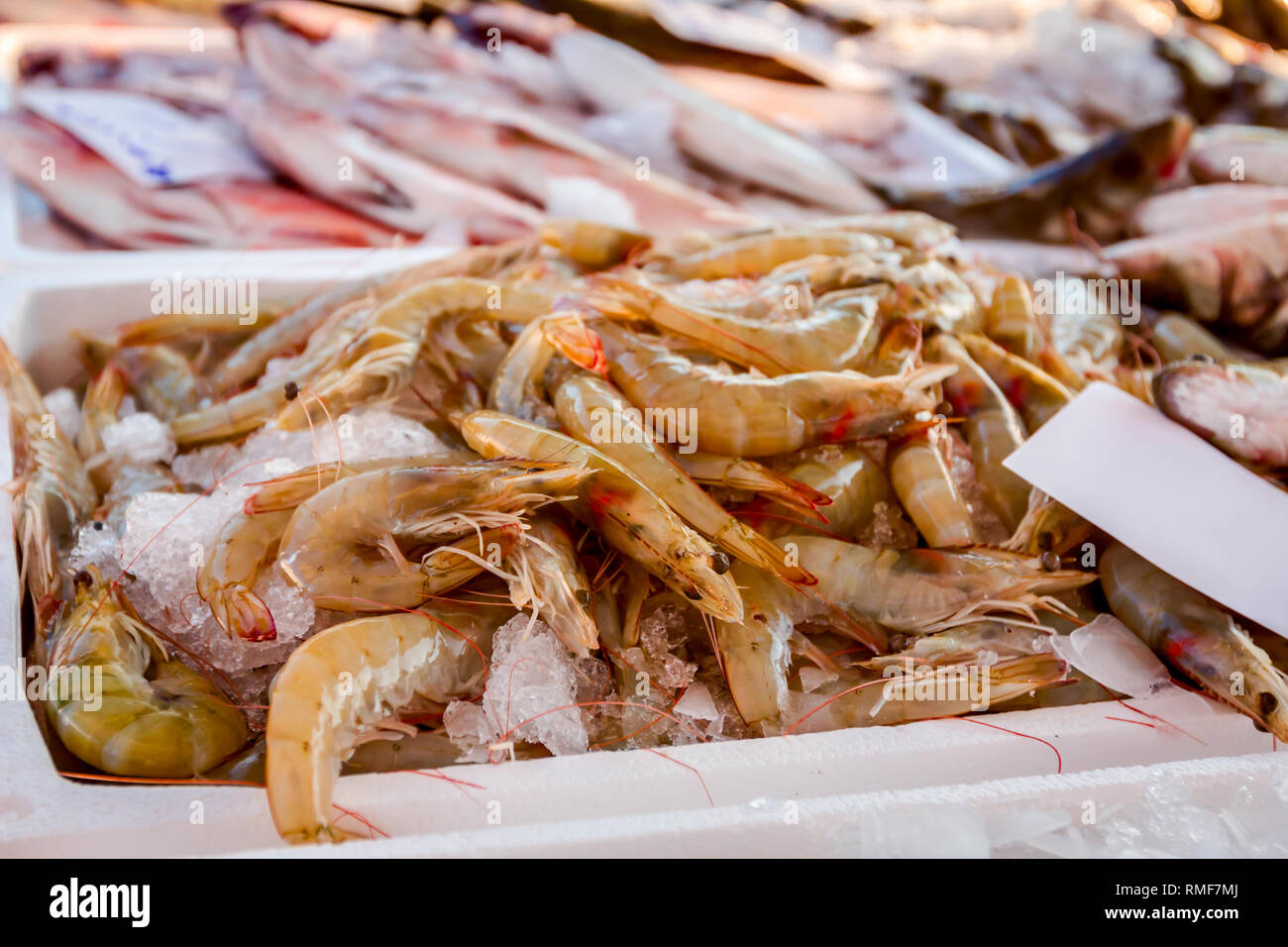 Pile of fresh prawns or pacific white shrimp for sale on the seafood ...