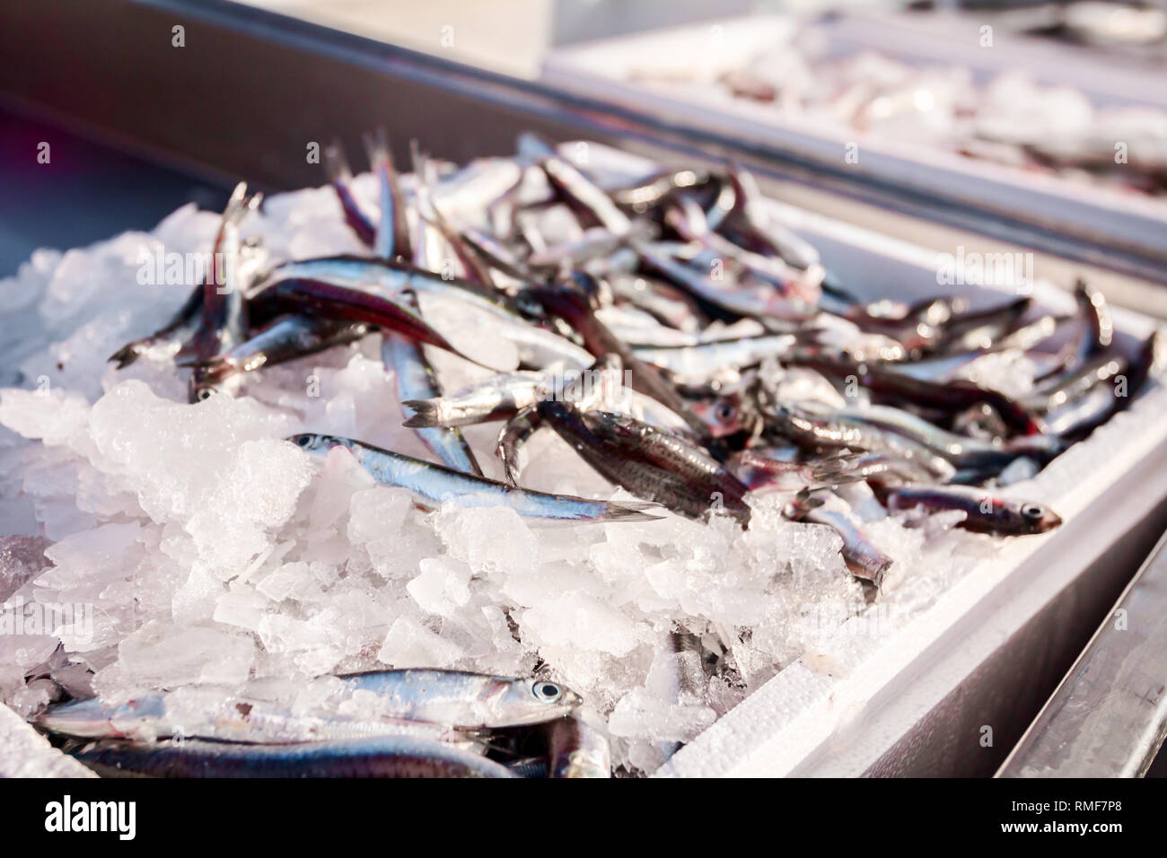 Fish hamsi anchovies market hi-res stock photography and images - Alamy