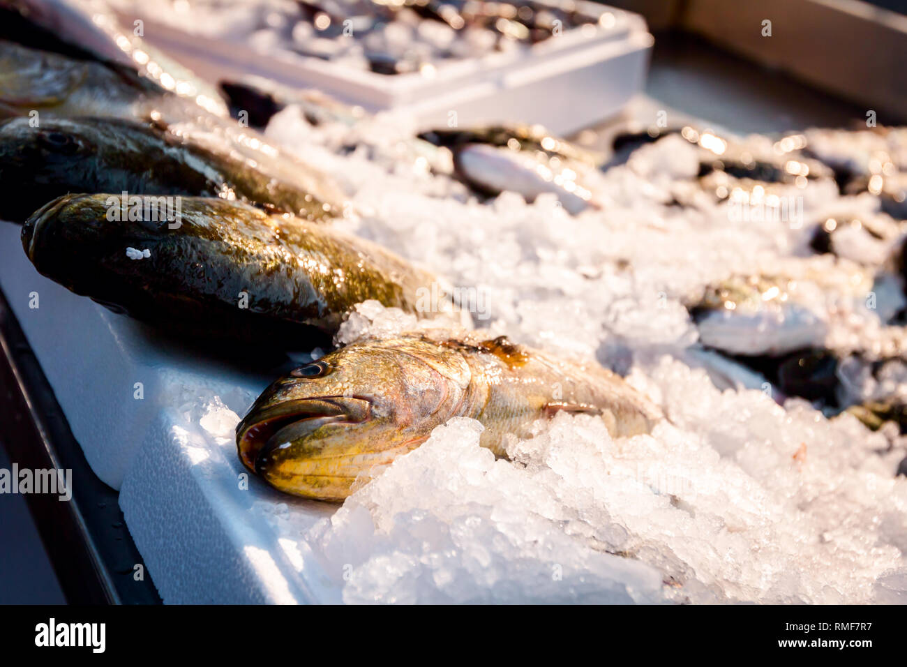 Fresh fish is for sale on the fishmonger, outdoor seafood market Stock ...