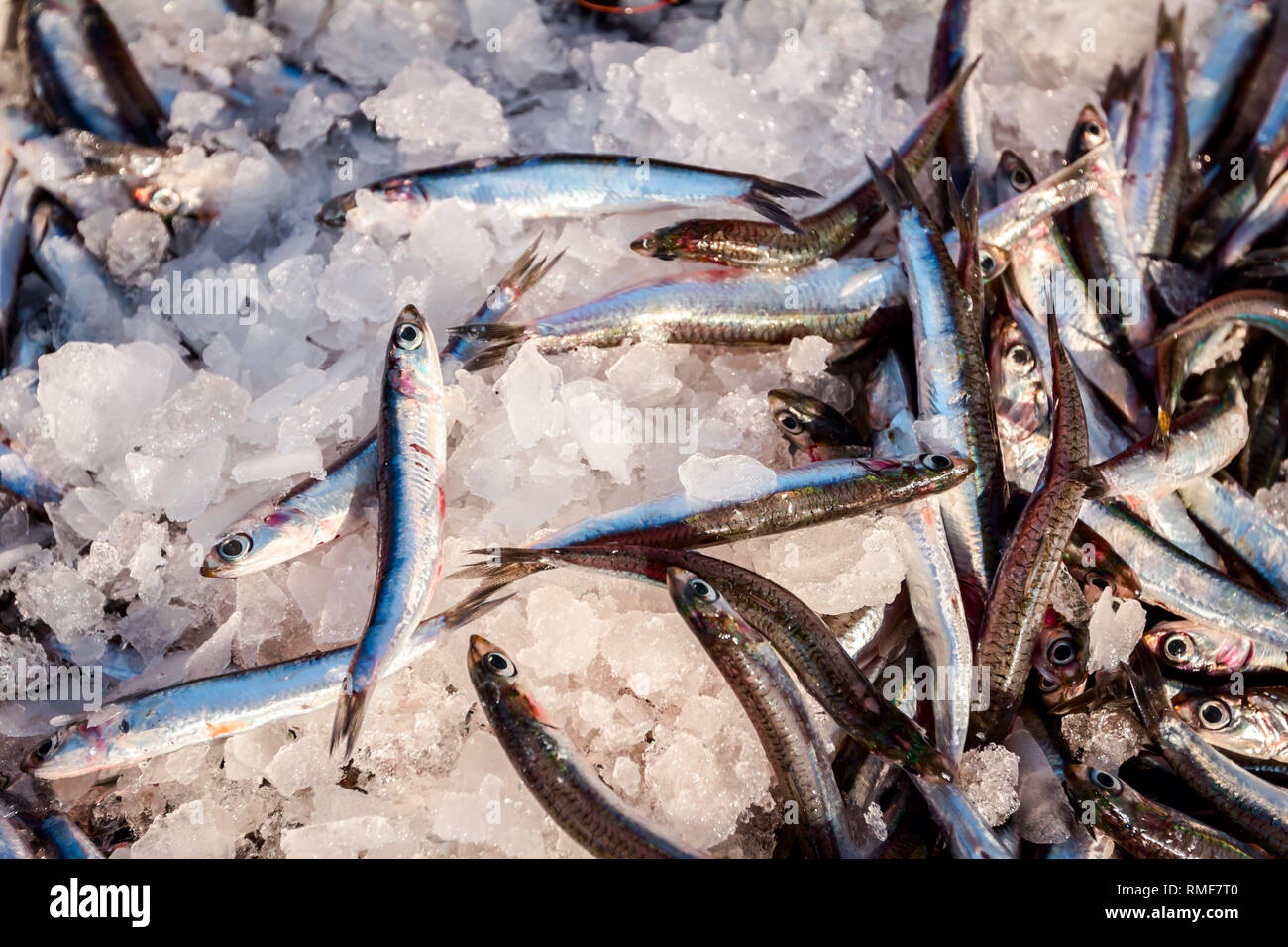Pile of fresh European Anchovy fish for sale on the fishmonger, outdoor ...