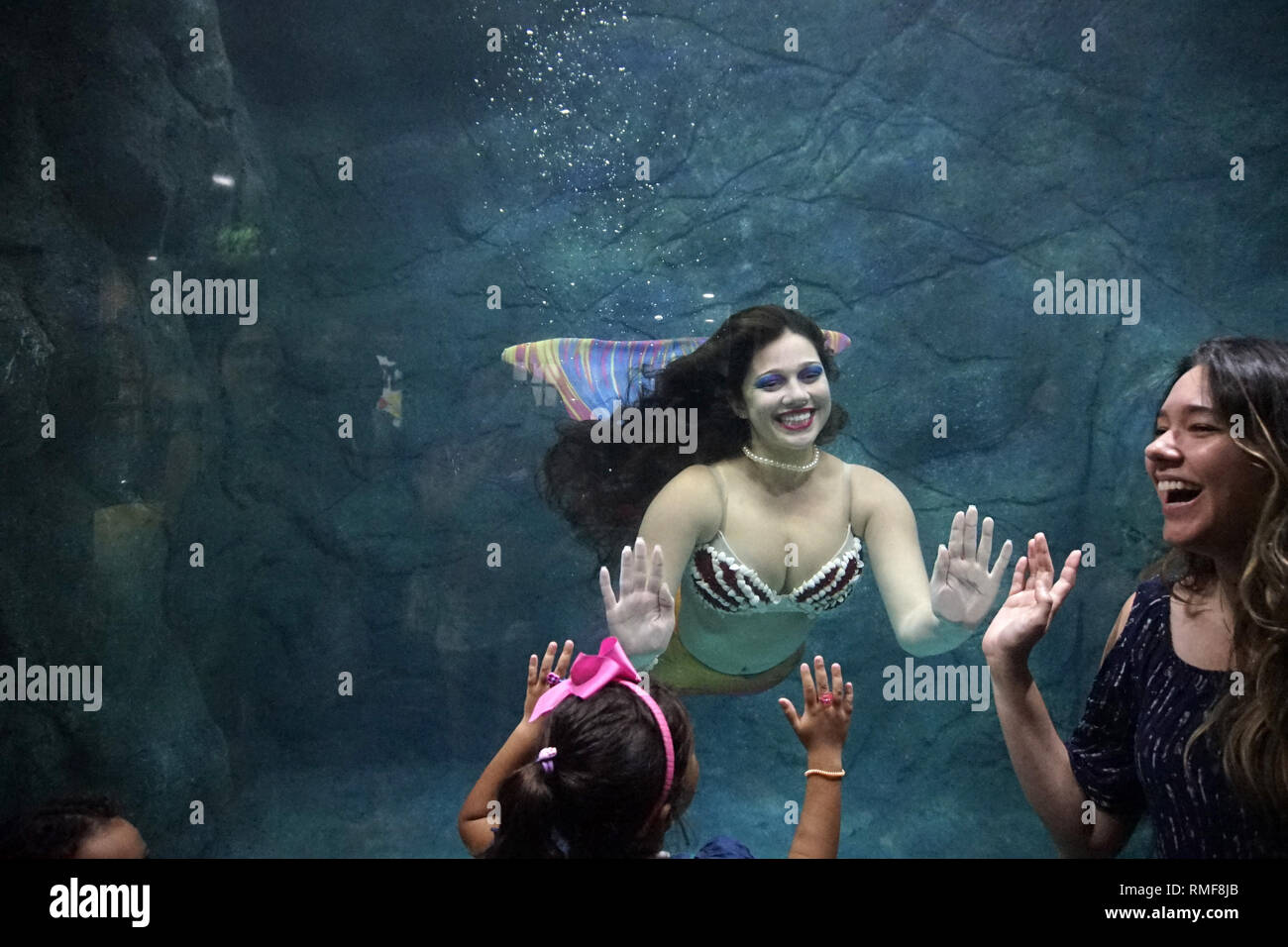 Rio Sea Aquarium High Resolution Stock Photography and Images - Alamy