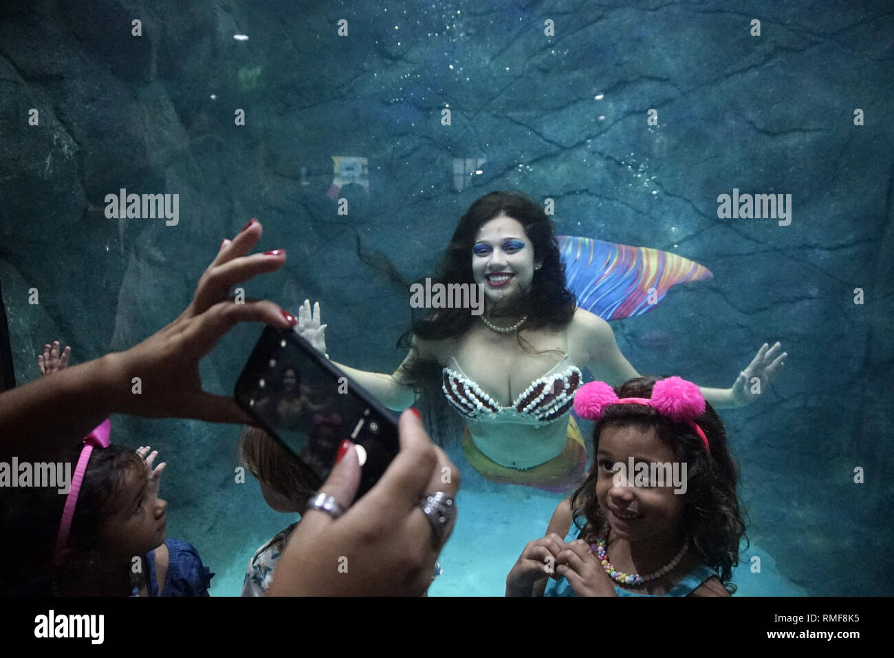 Sao Paulo, Brazil. 14th Feb 2019.MERMAID IN THE SP AQUARIUM- Sereia ...