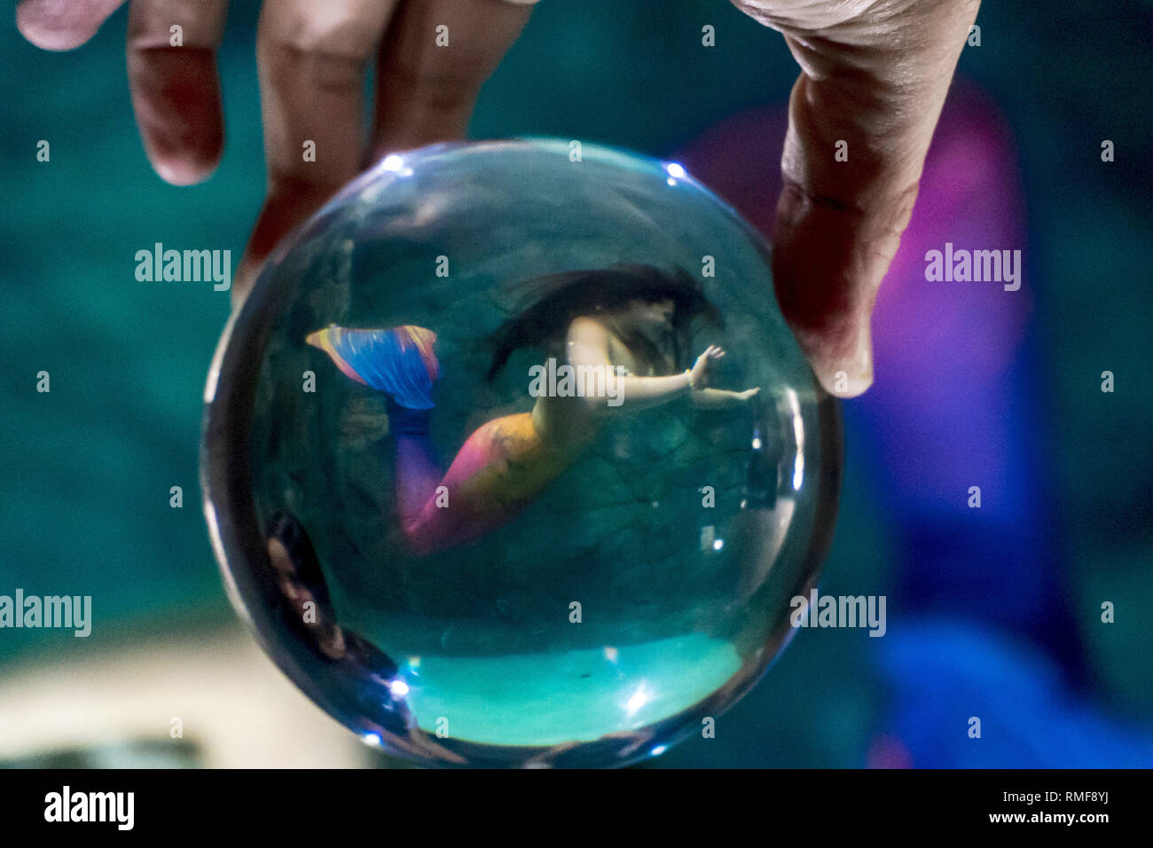 Sao Paulo, Brazil. 14th Feb 2019.MERMAID IN THE SP AQUARIUM- Sereia ...