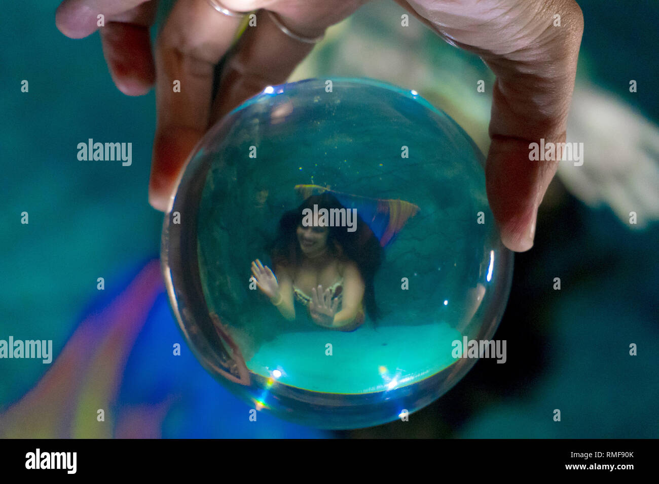 Sao Paulo, Brazil. 14th Feb 2019.MERMAID IN THE SP AQUARIUM- Sereia ...