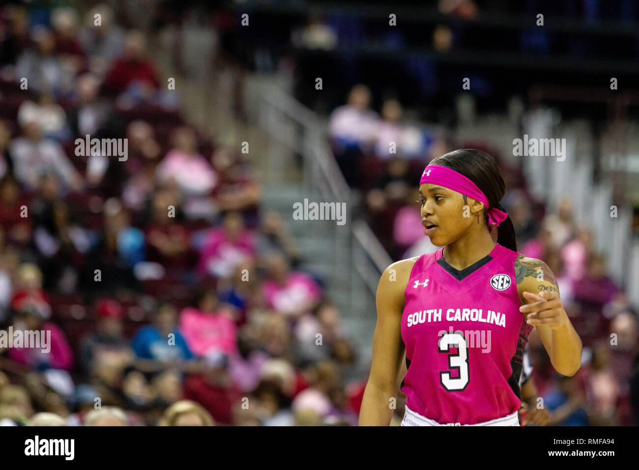 University of south carolina womens basketball hi-res stock photography ...