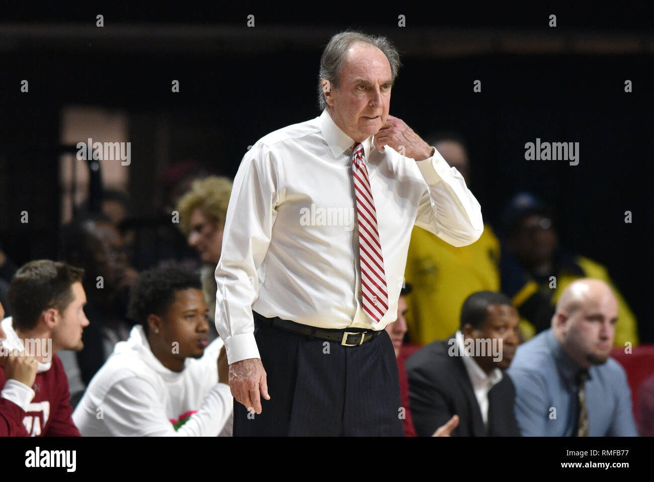 Philadelphia, Pennsylvania, USA. 13th Feb, 2019. Temple Owls head coach ...
