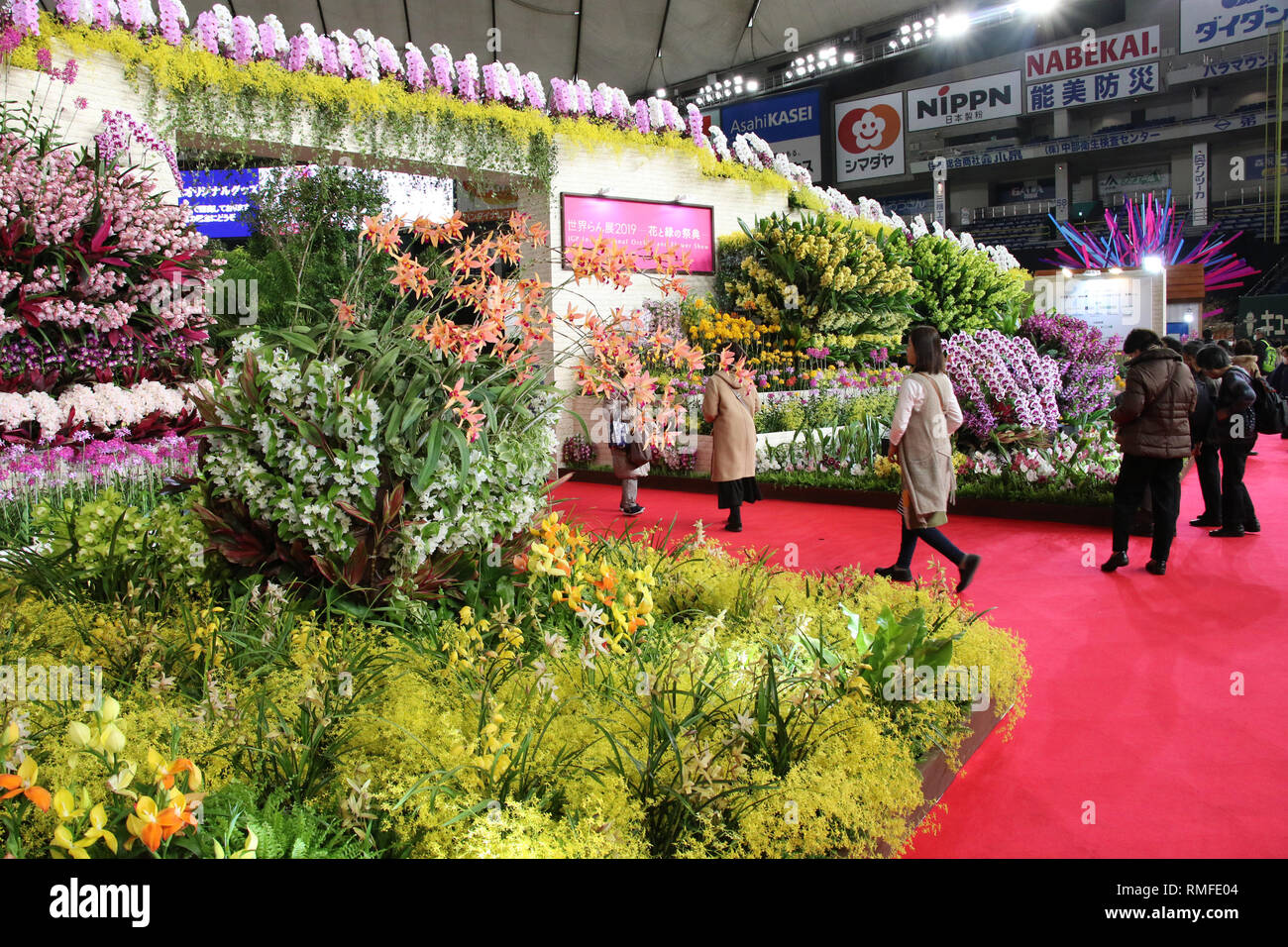 Tokyo, Japan. 15th Feb, 2019. People enjoy colorful orchids at "JGP ...