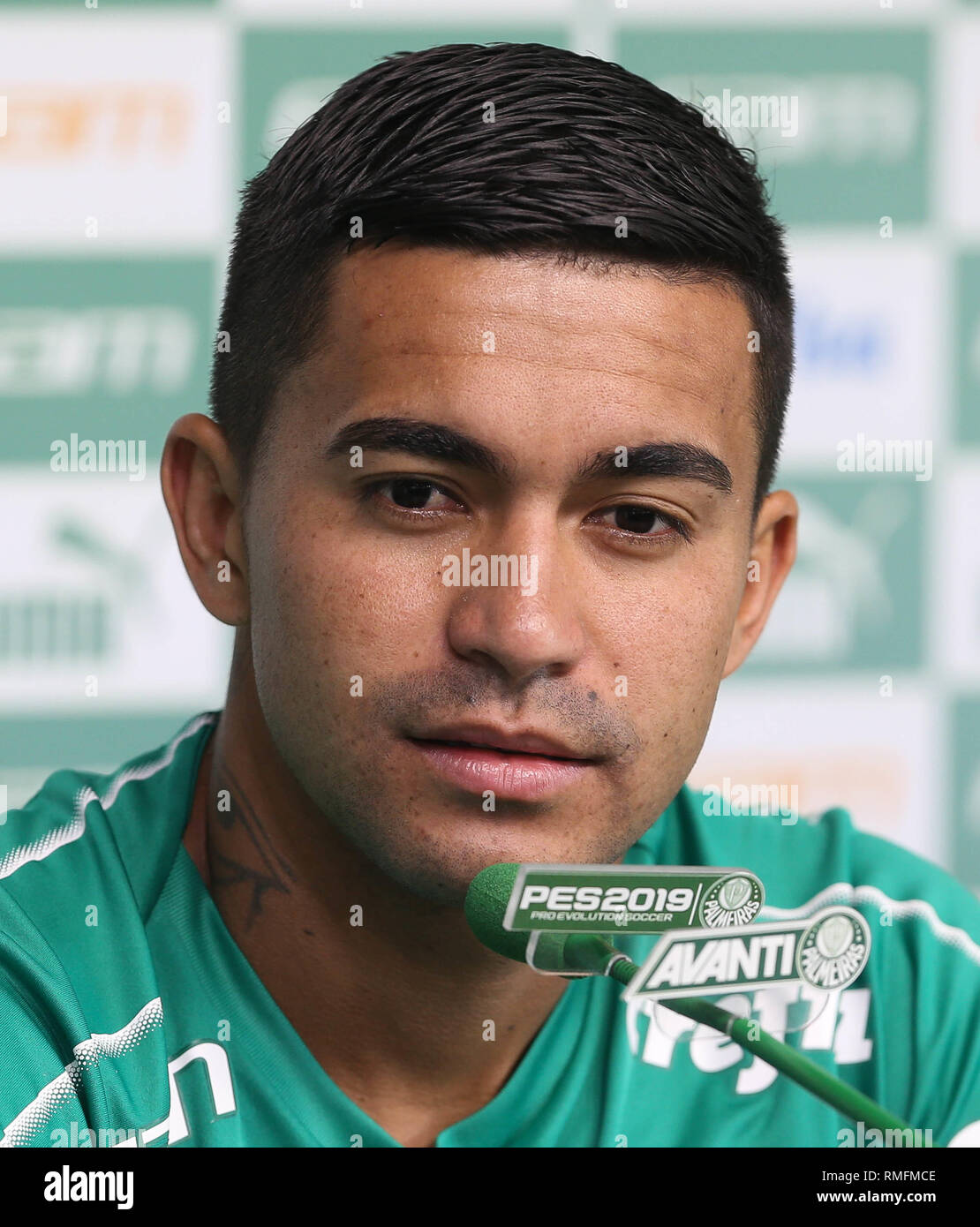 Sao Paulo, Brazil. 15th Feb, 2019. The player Dudu, from SE Palmeiras ...