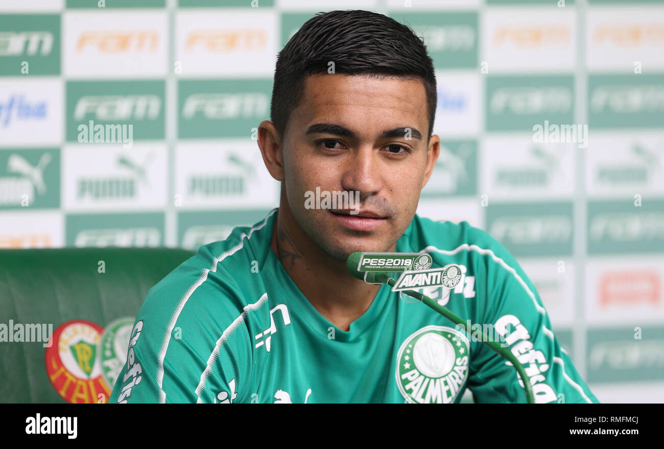 Sao Paulo, Brazil. 15th Feb, 2019. The player Dudu, from SE Palmeiras ...