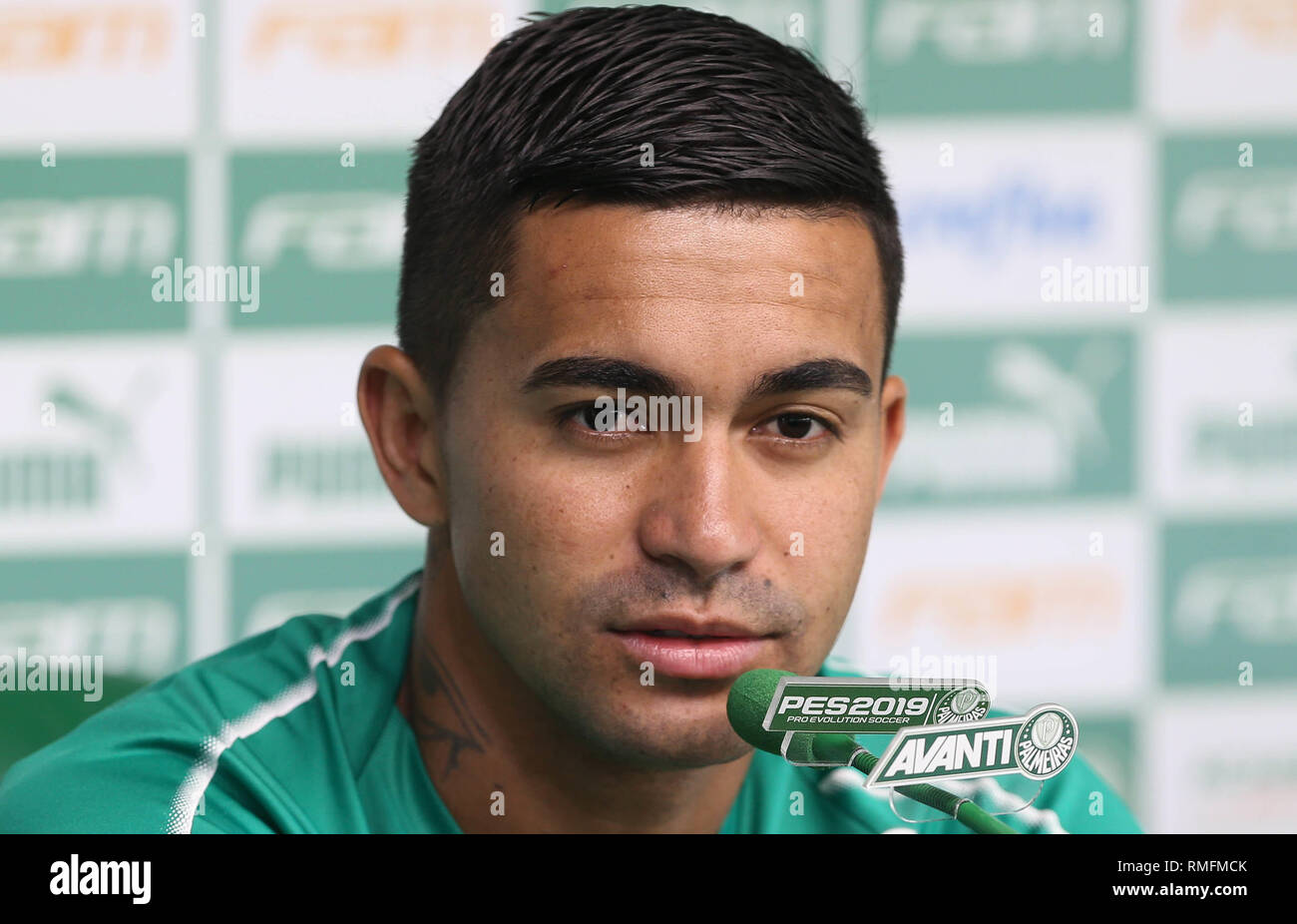 Sao Paulo, Brazil. 15th Feb, 2019. The player Dudu, from SE Palmeiras ...