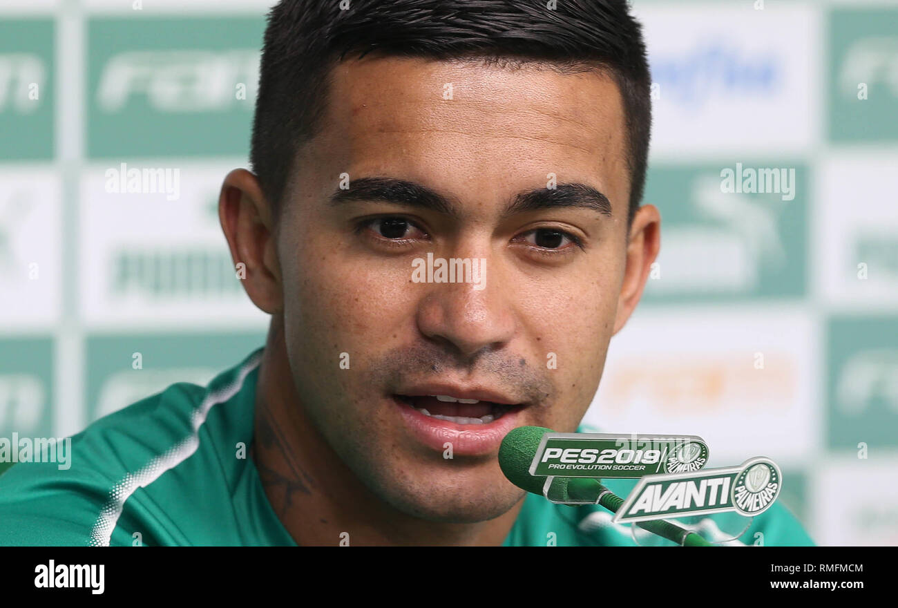 Sao Paulo, Brazil. 15th Feb, 2019. The player Dudu, from SE Palmeiras ...