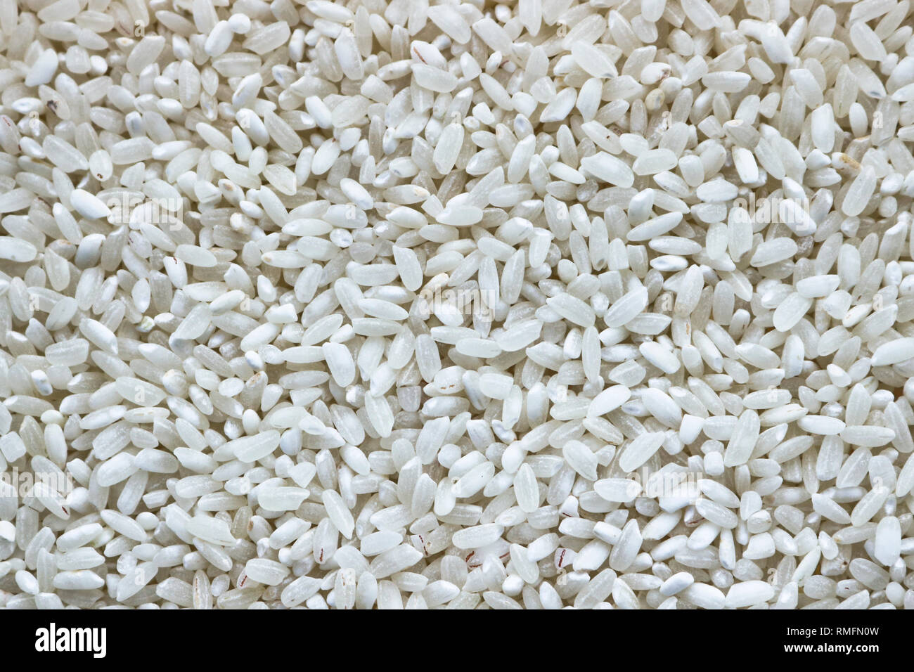 The texture of the round grain rice. Rice groats Stock Photo - Alamy