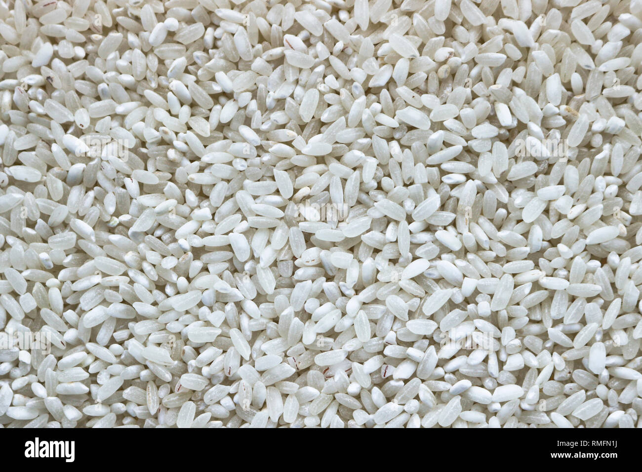 The texture of the round grain rice. Rice groats Stock Photo - Alamy