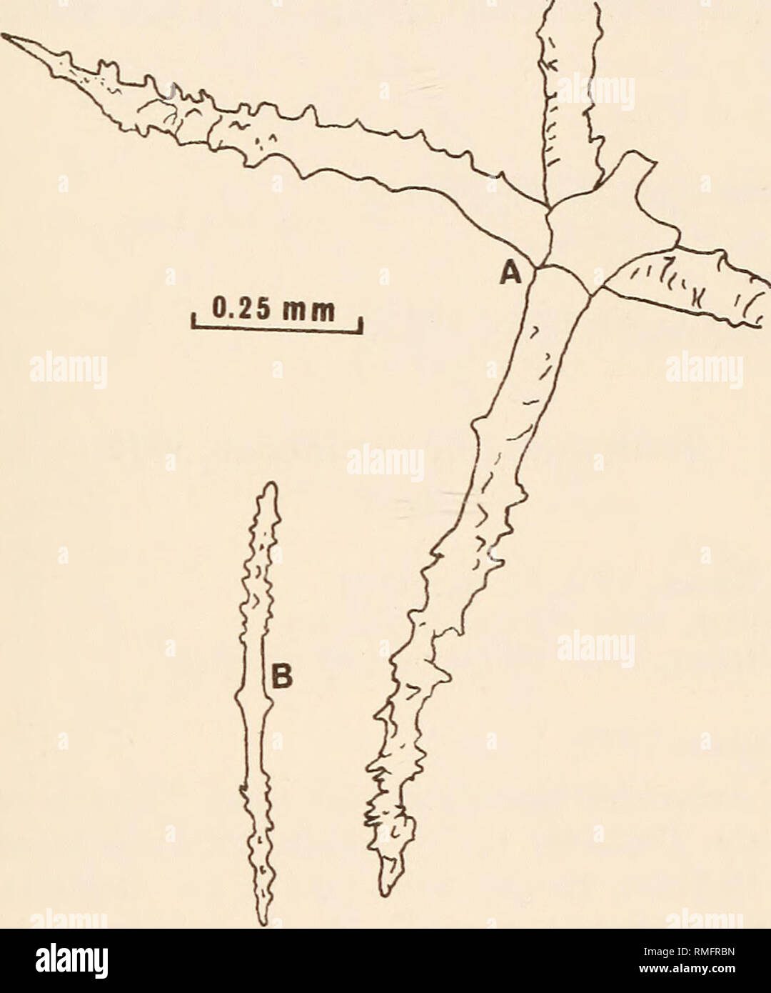 Deep sea cross section hi-res stock photography and images - Alamy