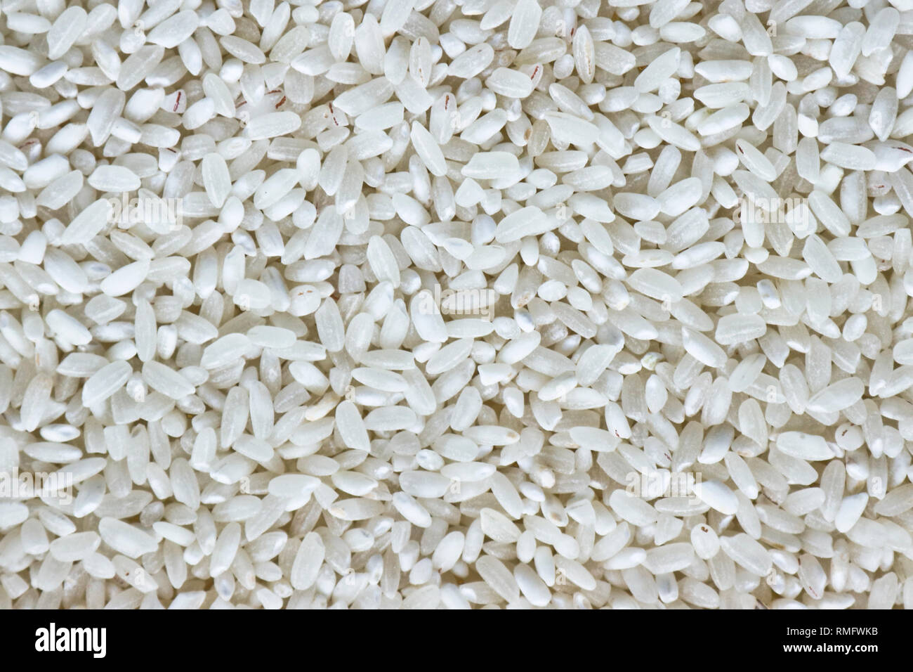 The texture of the round grain rice. Rice groats Stock Photo - Alamy