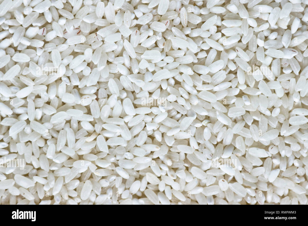 The texture of the round grain rice. Rice groats Stock Photo - Alamy