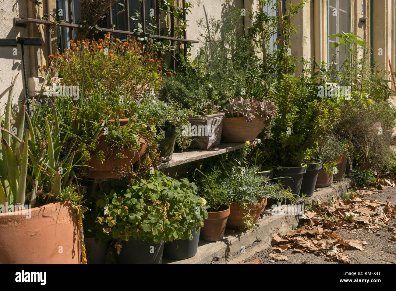 A display of plant pots in front of terraced houses in the provencal ...