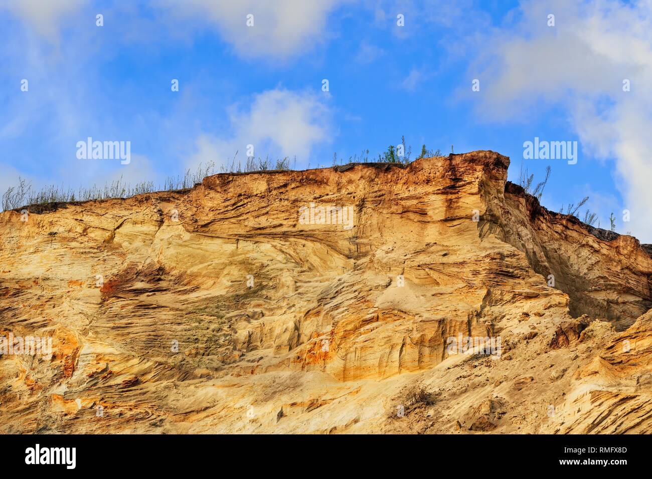 Podzol soil profile hi-res stock photography and images - Alamy