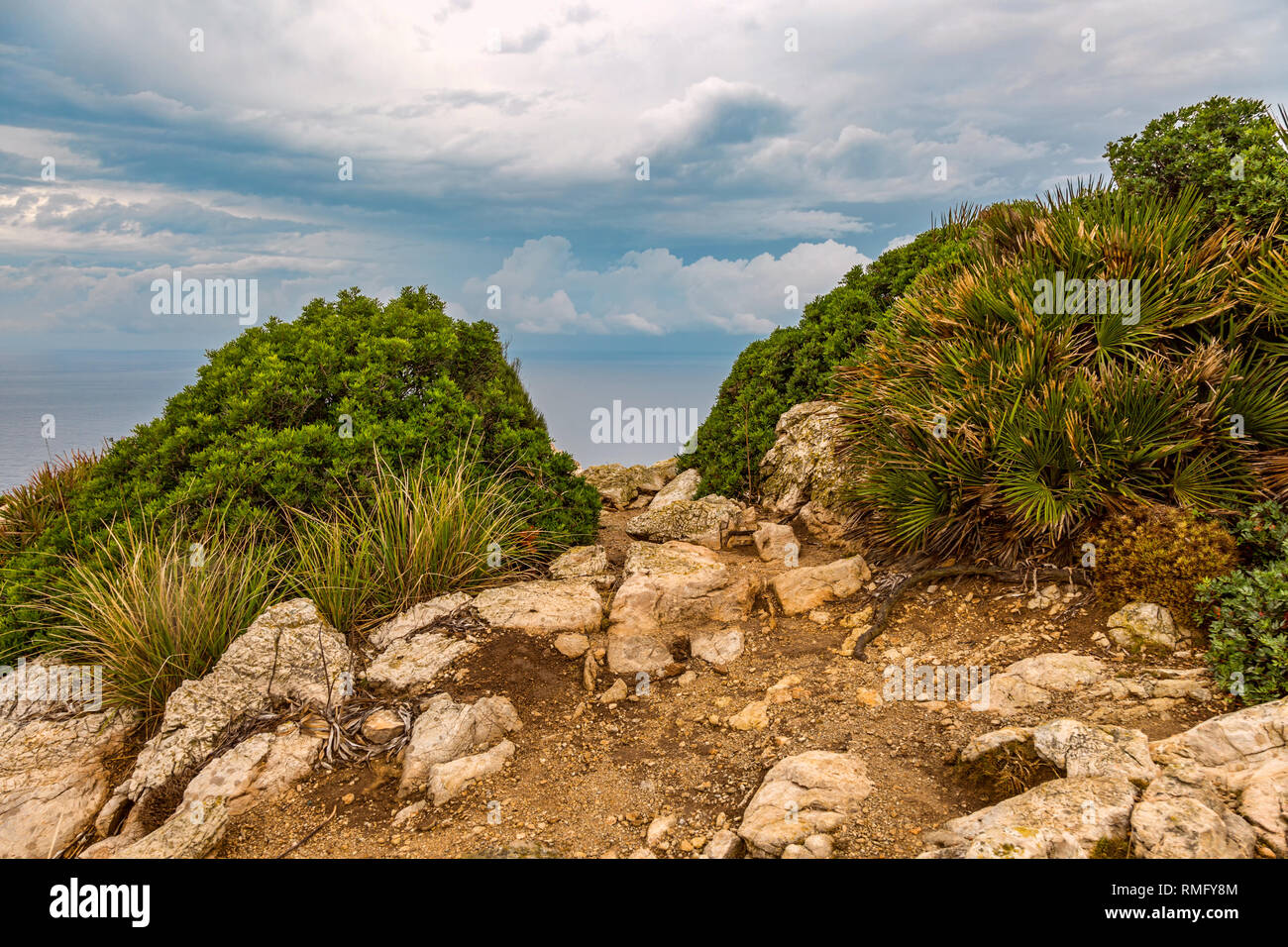 On the cliffs of Es Colomer Stock Photo - Alamy