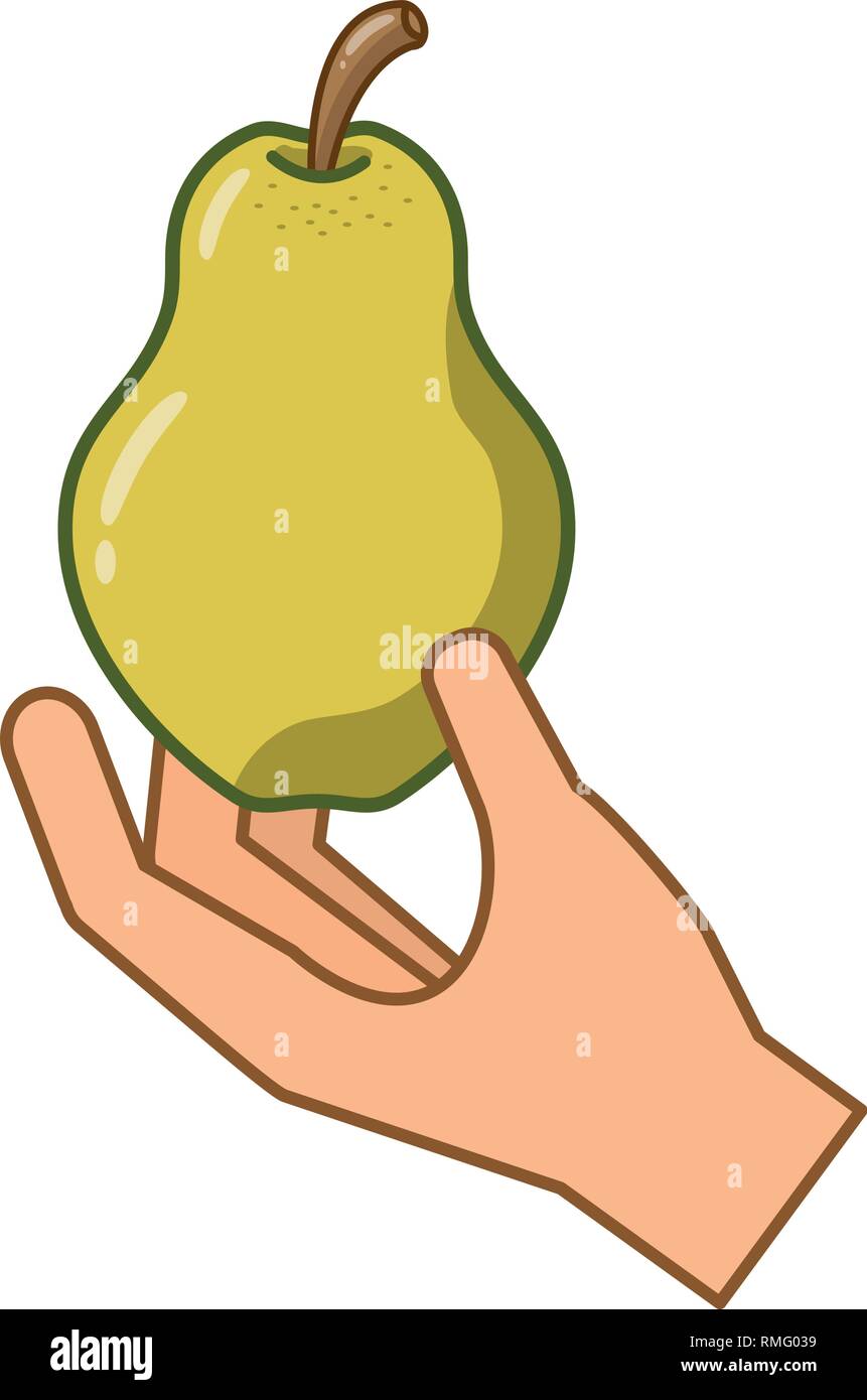hand holding fresh pear Stock Vector Image & Art - Alamy