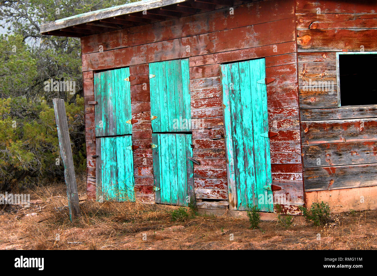 Rustic red barn has three sets of double doors painted turquoise. Paint ...