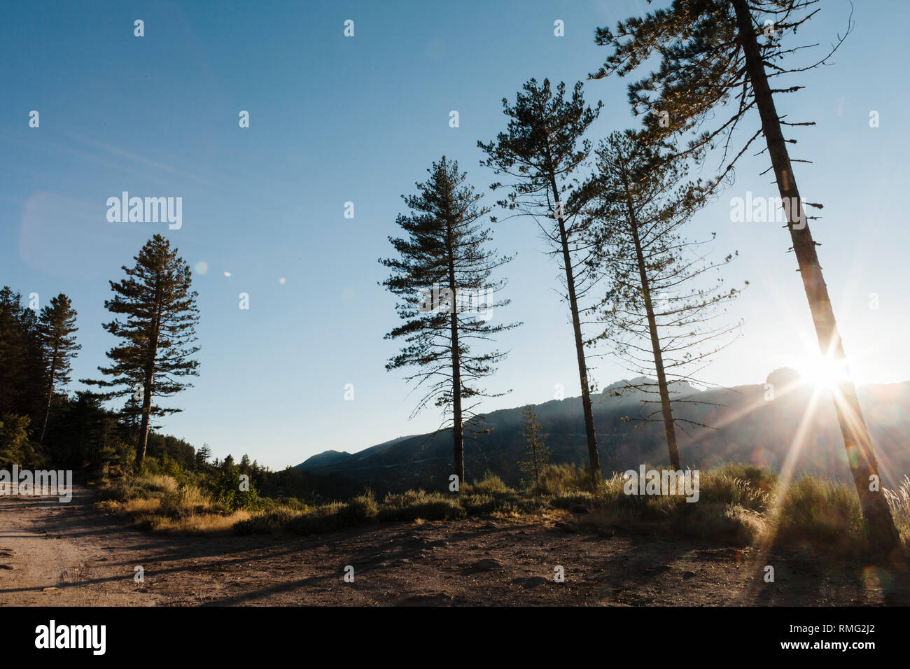 Landscape of hill between trees Stock Photo - Alamy