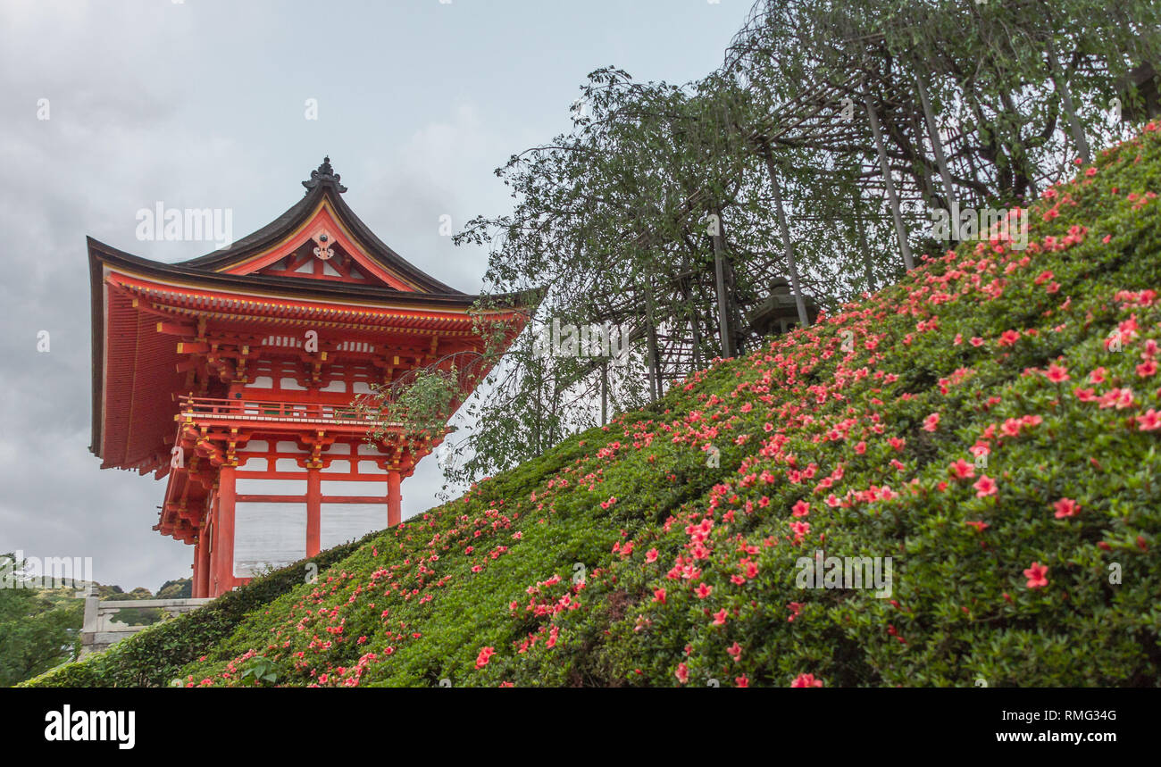 Beautiful zen park on cloudy day Stock Photo - Alamy