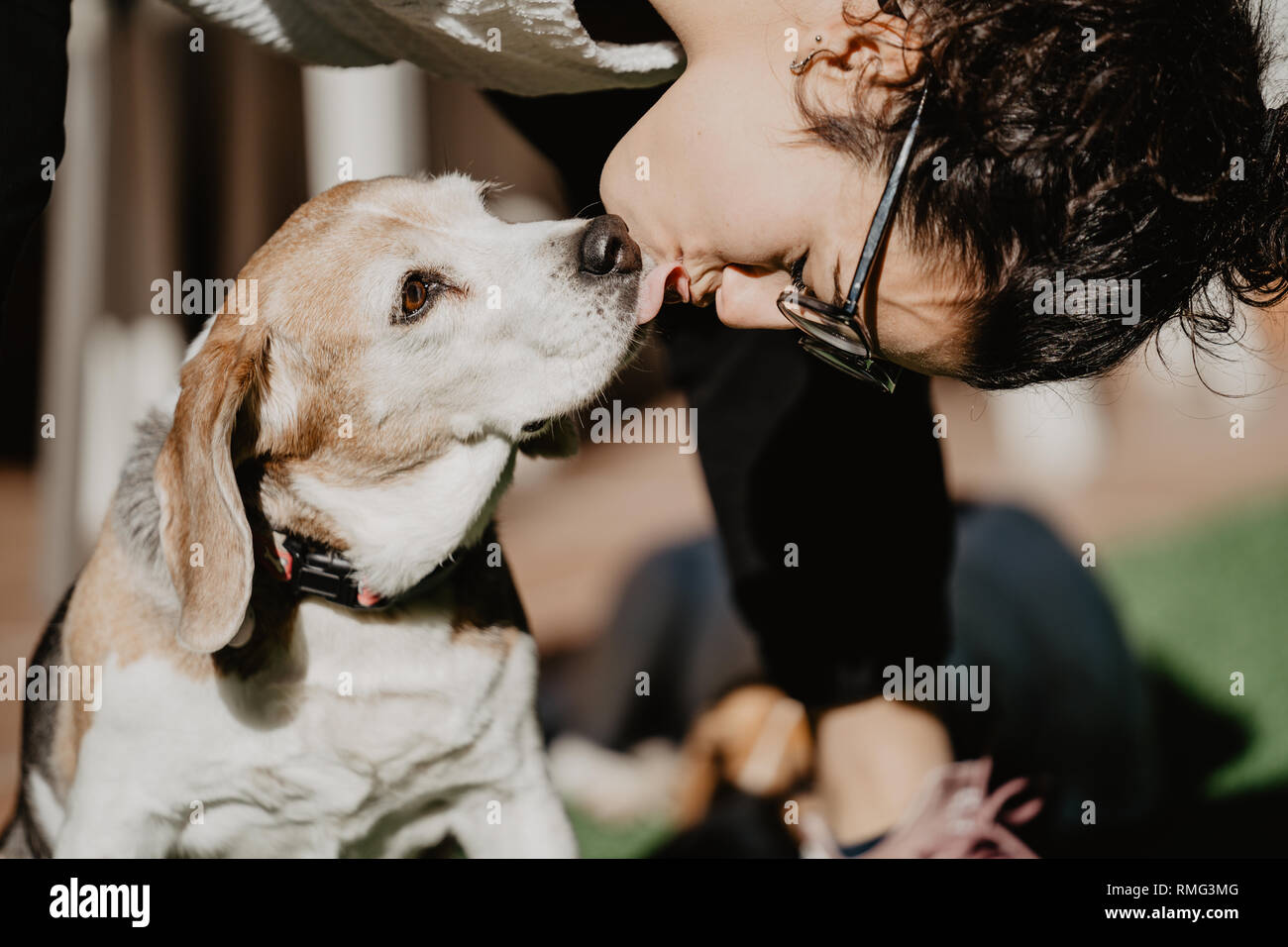 Licking face hi-res stock photography and images - Alamy