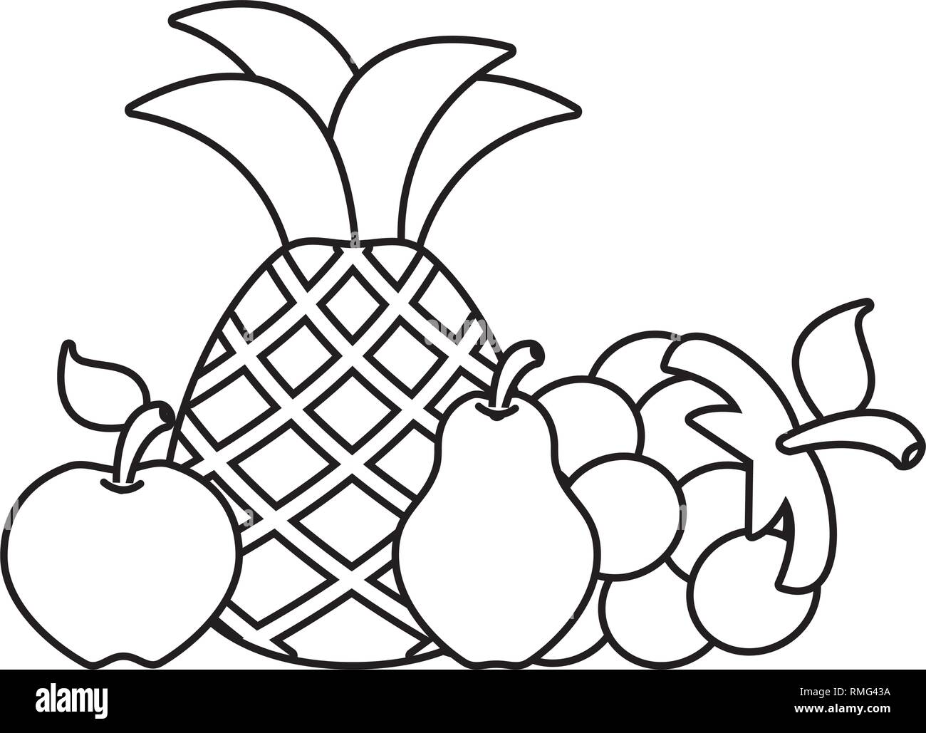 Apple and grapes Black and White Stock Photos & Images - Alamy
